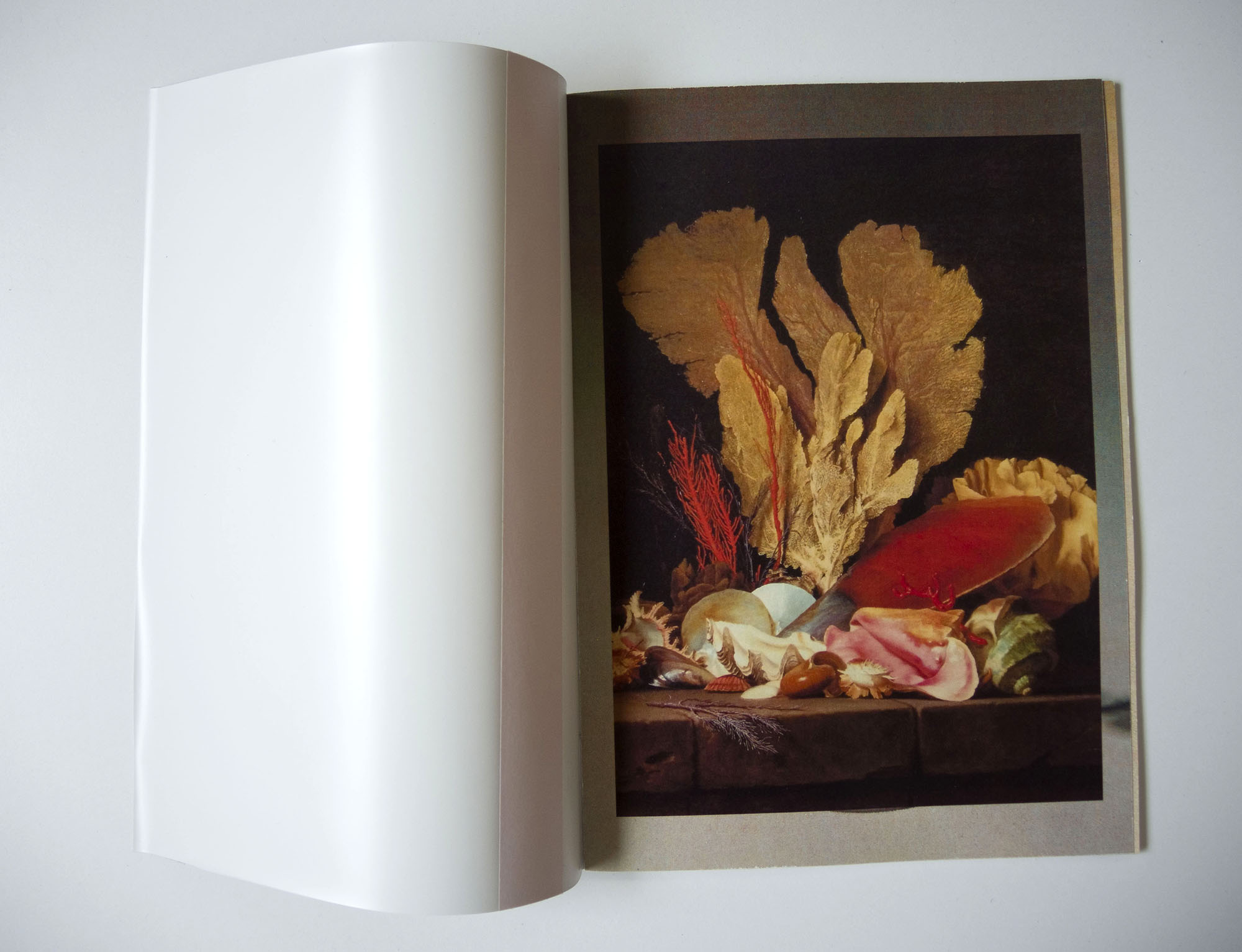 inga meldere / PUBLICATIONS/ARTIST BOOKS / Young Popes